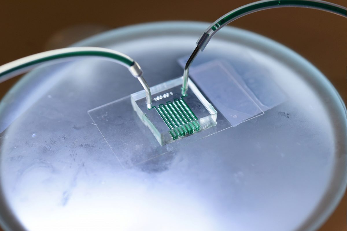 Home | Georgia Tech School of Chemical & Biomolecular Engineering